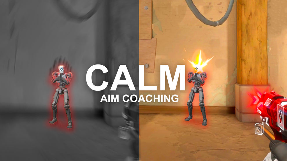 Calm Aim Coaching – Pendragon